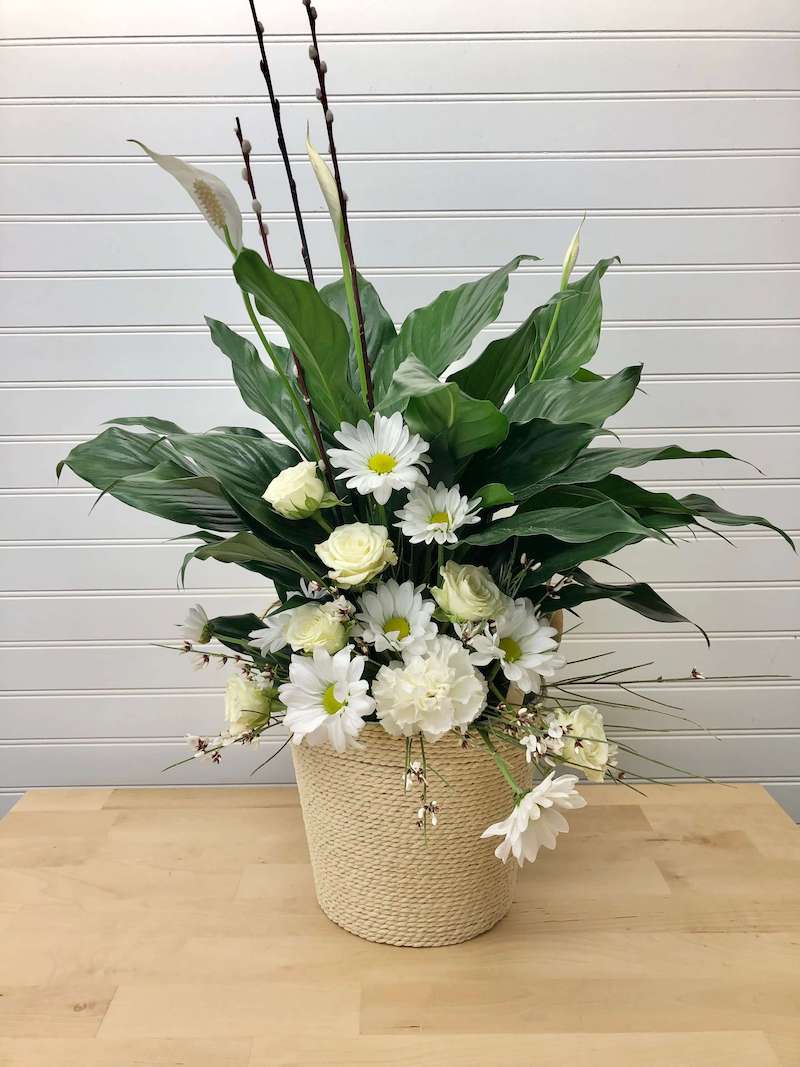 Indoor Plant with Fresh Florals | Calumet Floral & Gifts
