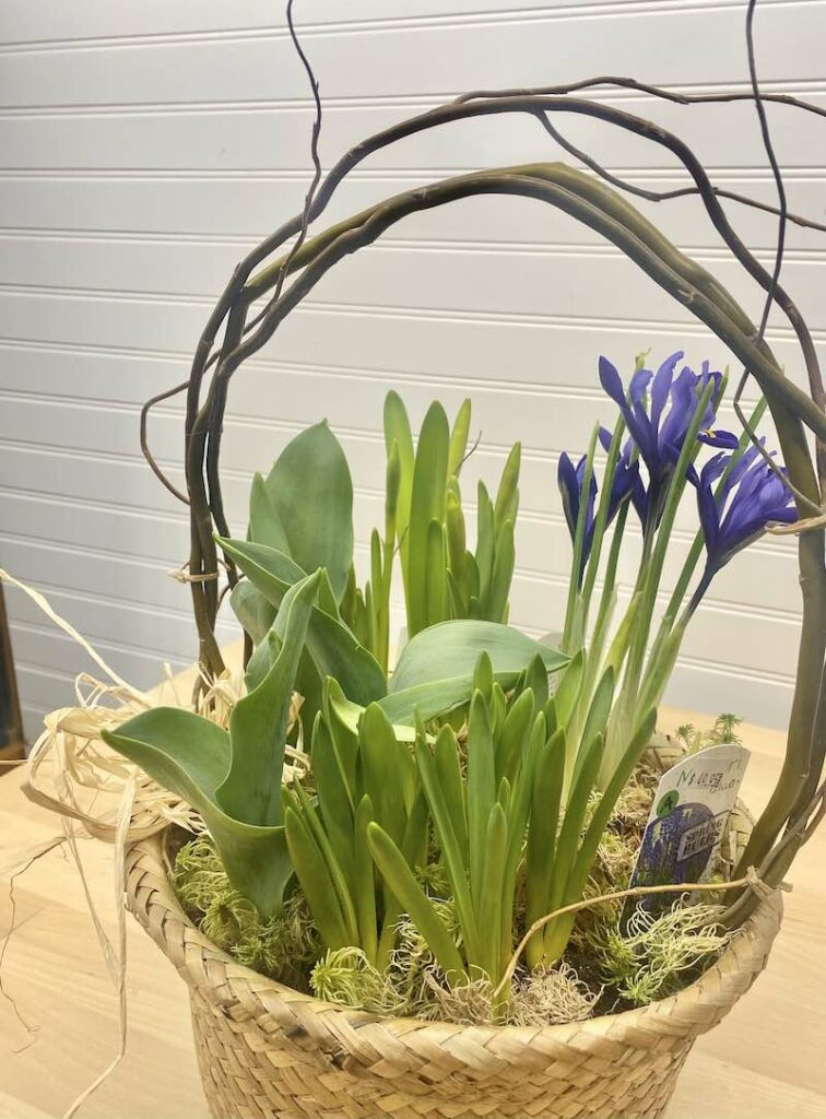 Blooming Basket | Calumet Floral & Gifts